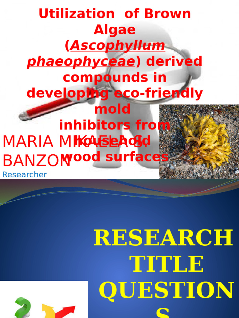 Title Defense Maria Mikaela | PDF