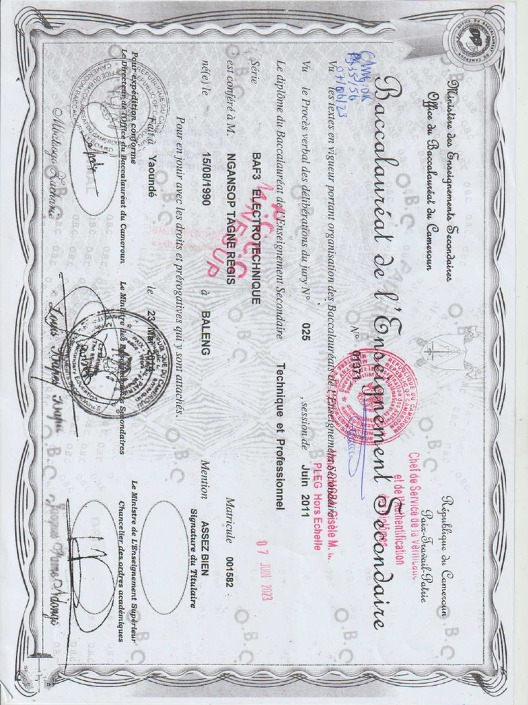 Director of Protocol Overview Cameroon | PDF