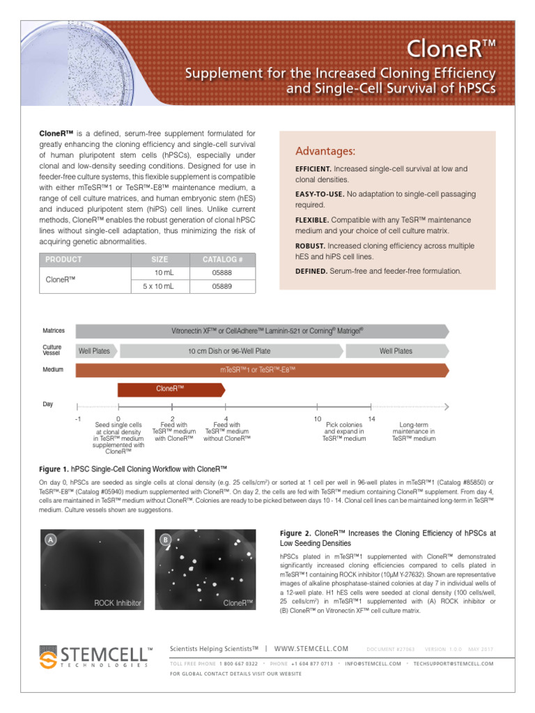 CloneR™: Enhancing hPSC Cloning Efficiency | PDF | Cloning | Cell Culture