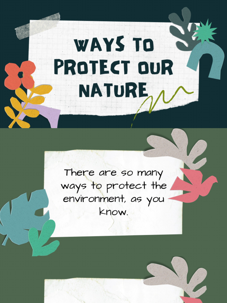 A Campaign To Protect The Environment (3B1) - 20250627 - 231333 - 0000 ...