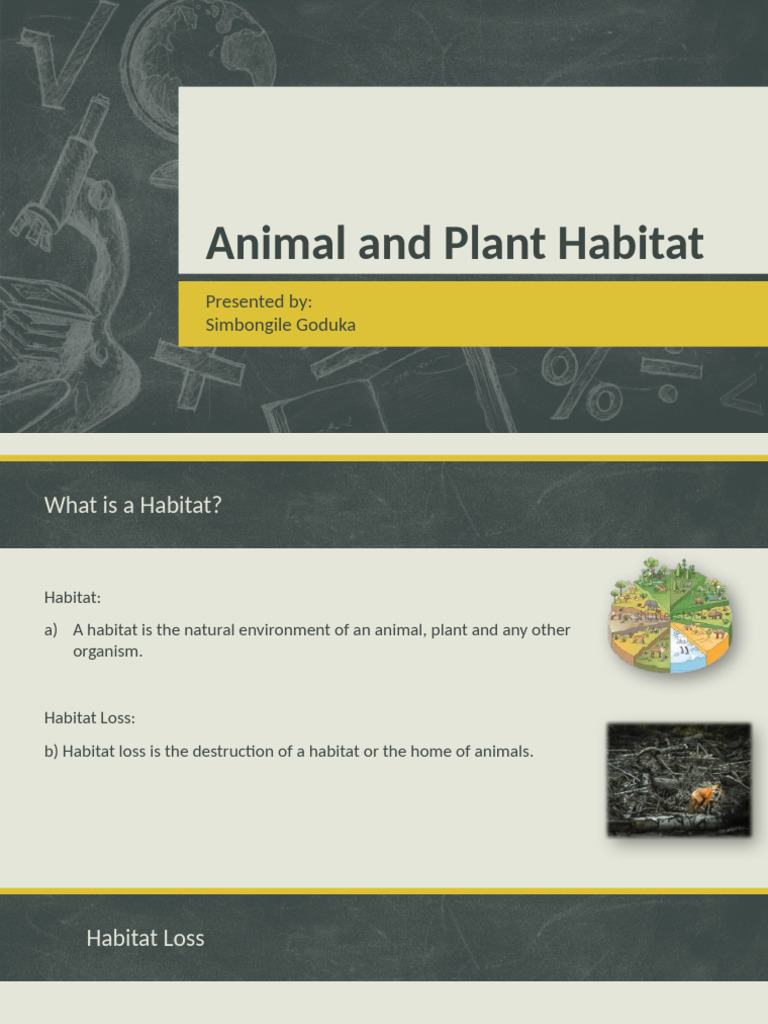 Impact of Habitat Loss on Wildlife | PDF | Habitat Destruction | Habitat