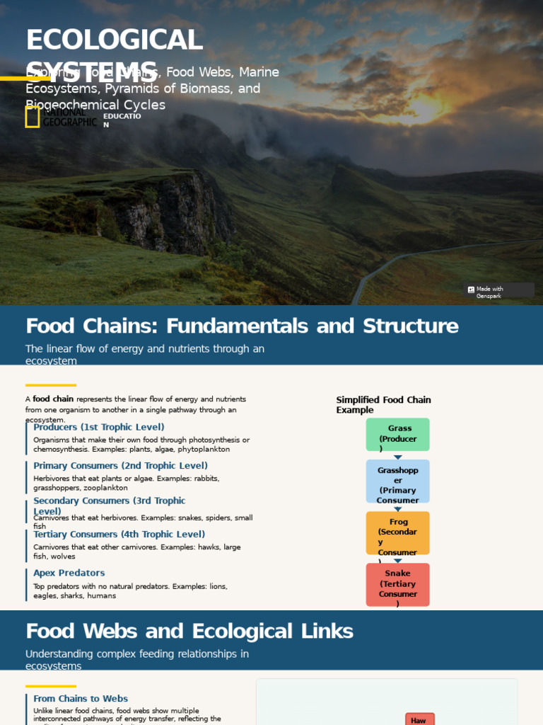 Understanding Food Chains and Ecosystems | PDF | Food Web | Ecosystem