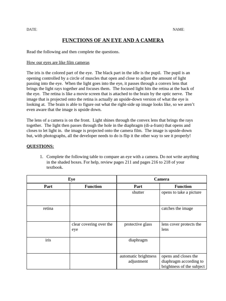 Science 8 Unit 3 Topic 4 Eyes and Camera Worksheet | PDF | Eye | Camera