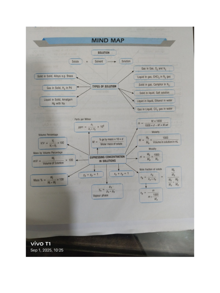 Ch 1 Mind Map And Mcqs Pdf