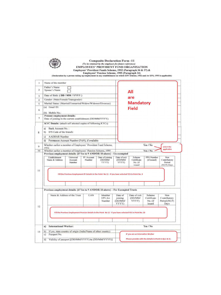 Instructions - Form 11 | PDF