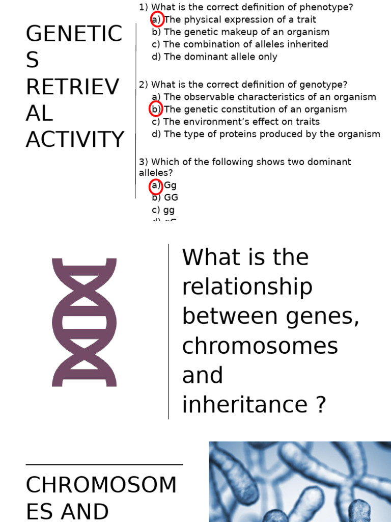 Inheritance: Genes and Chromosomes | PDF | Gene | Heredity