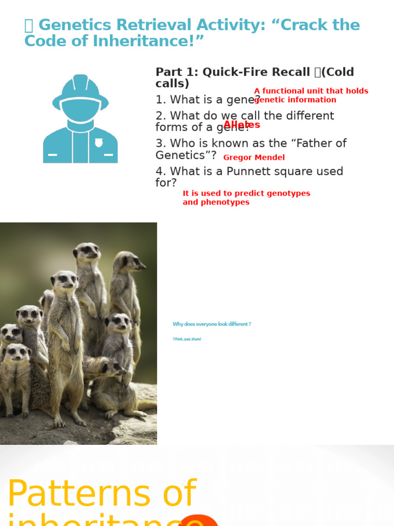 Week 1 (Patterns of Inheritance) Mr. Ismail | PDF | Genotype ...