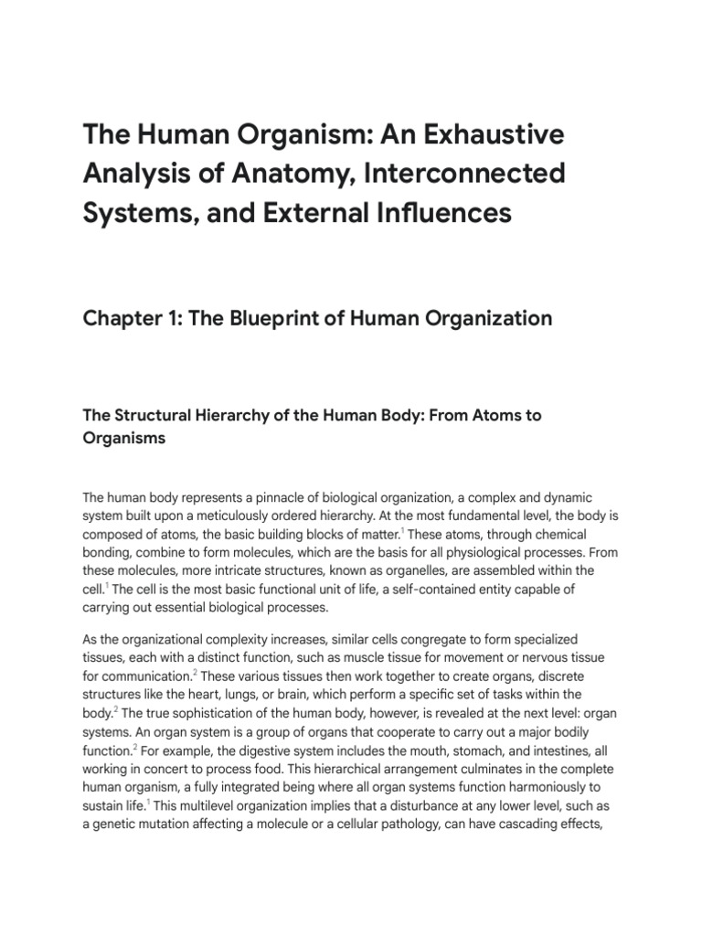 Human Body Deep Research | PDF | Autonomic Nervous System | Human Body