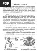 Absceso Cervical | PDF | Infecção | Boca
