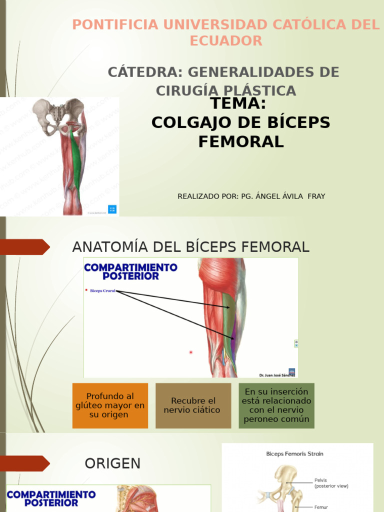 Colgajo de Bíceps Femoral: Técnica y Aplicaciones | PDF | Extremidades ...