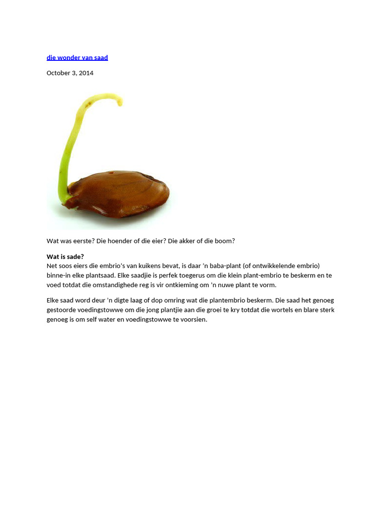 Die Wonder Van Saad | PDF