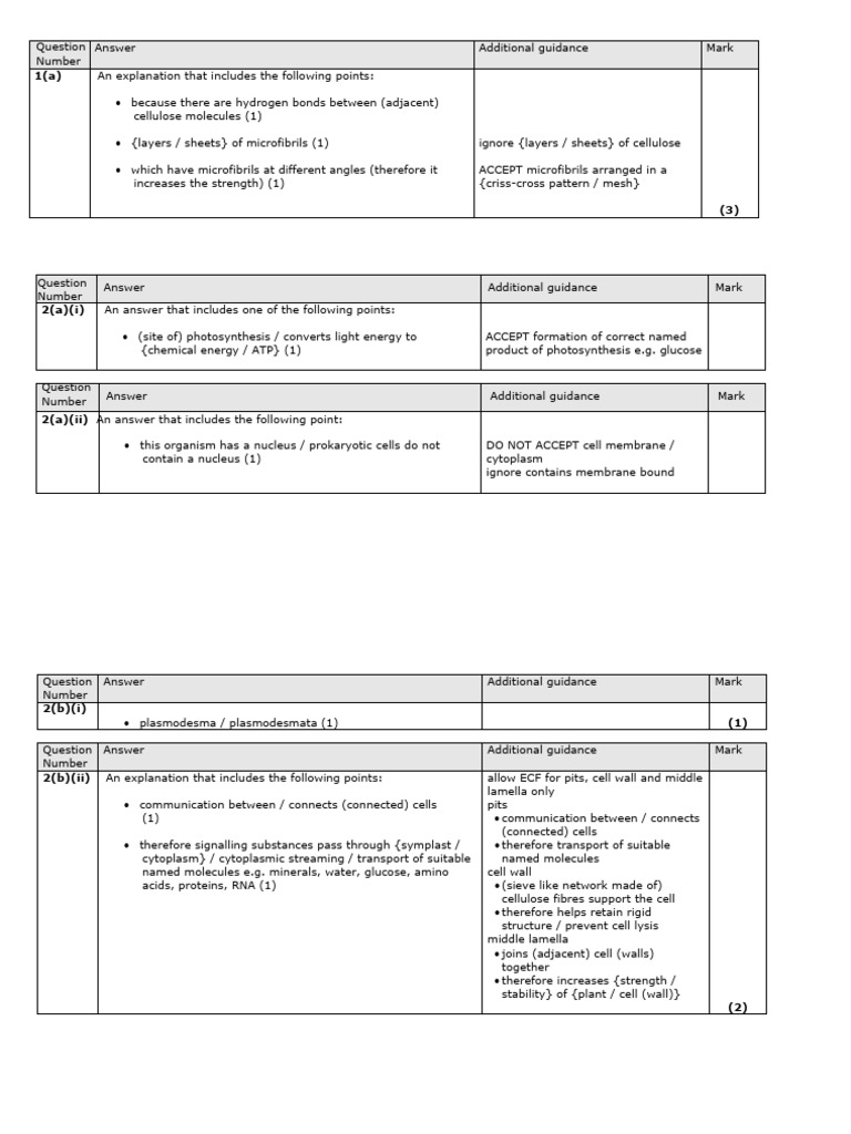 Plant Cell Structure and Function Analysis | PDF | Plant Stem ...