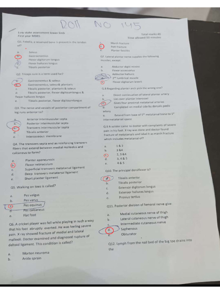 Lower Limb Anatomy Test Key | PDF