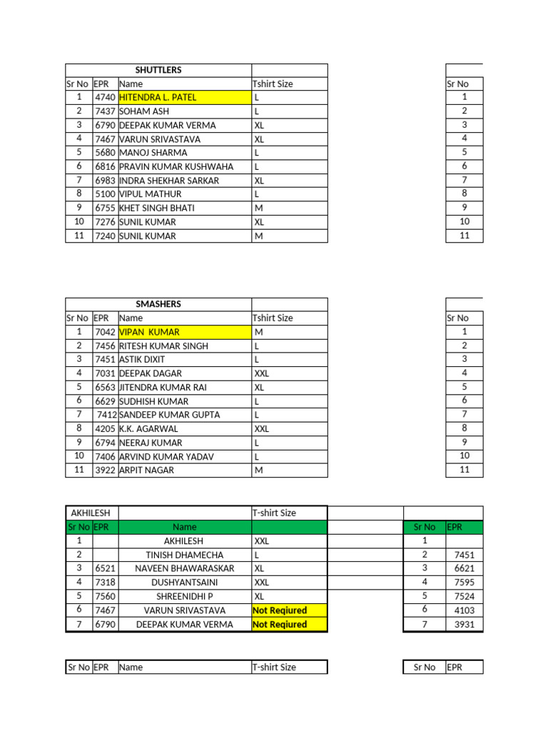 Team Members T-shirt Sizes List | PDF