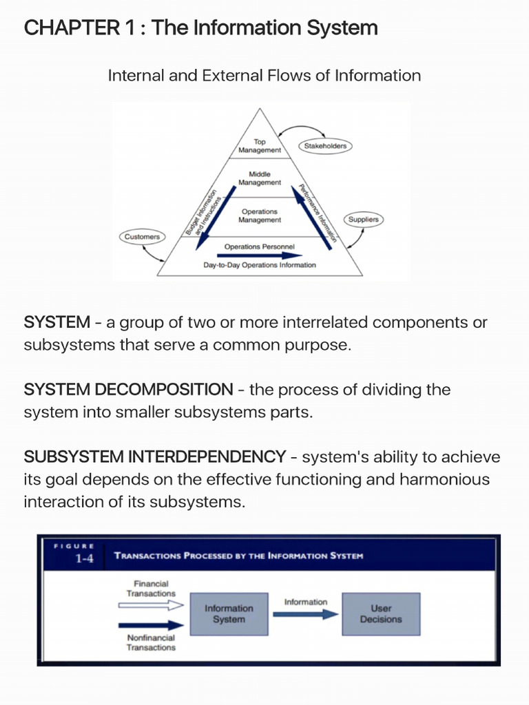 AIS REVIEWER - PRELIM (CHAPTER ONE) Accounting Information System | PDF