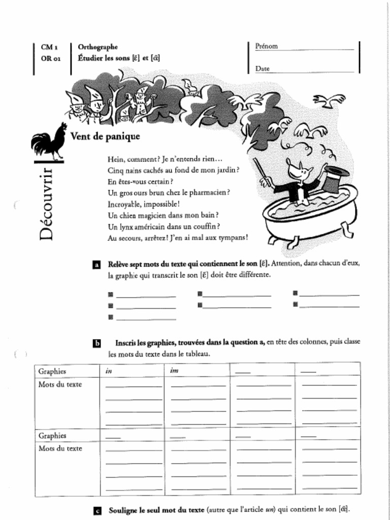 Orthographe cm1 Séquences+fiches - Rue Des Écoles | PDF