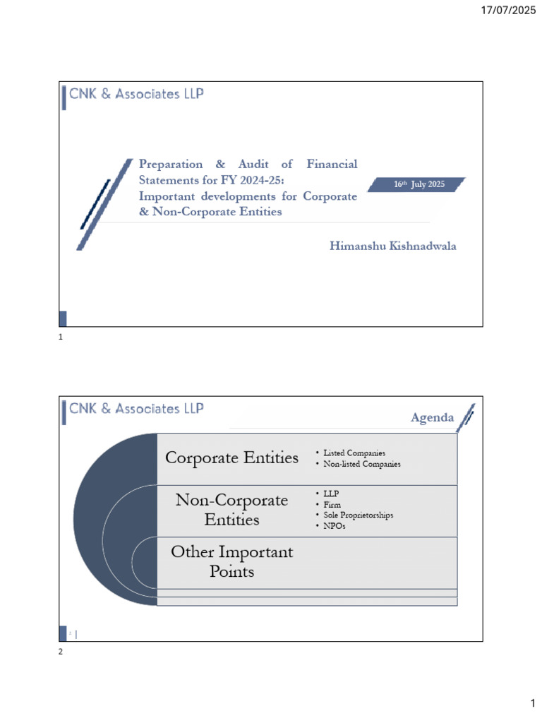 FY 2024-25 Audit Report Guidelines | PDF | Audit | Business