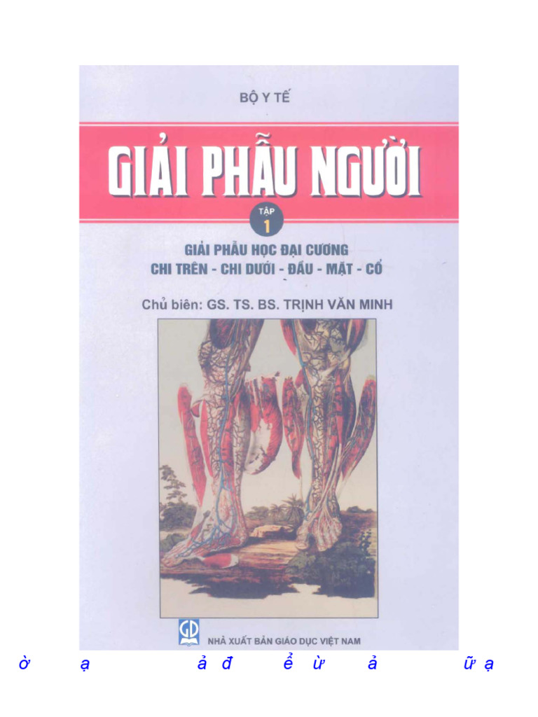 Giai Phau-trinh Van Minh 1 | PDF