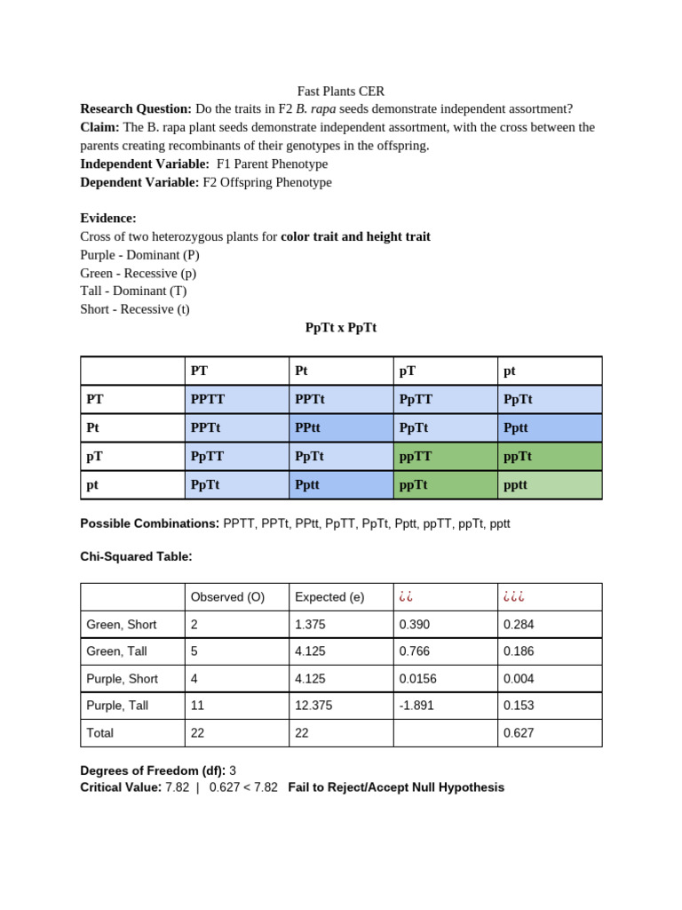 Fast Plants CER - Kaden Sung | PDF | Genotype | Dominance (Genetics)
