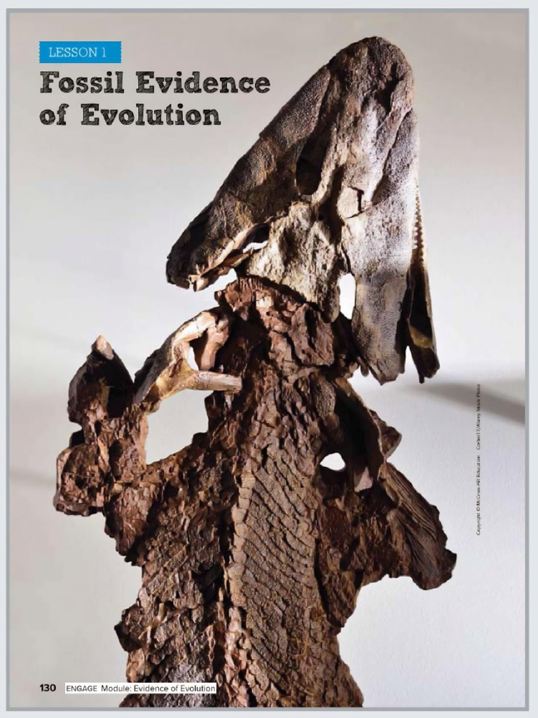 G-8-ch03-L1Q | PDF | Fossil | Geologic Time Scale