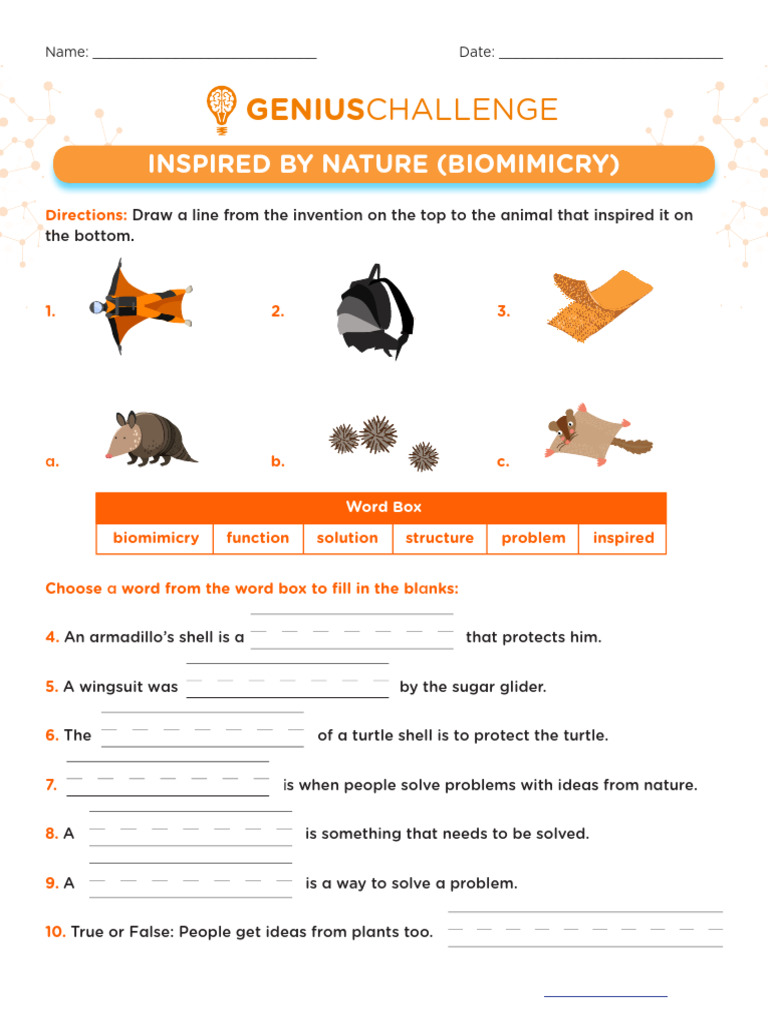 Biomimicry Worksheet GG | PDF