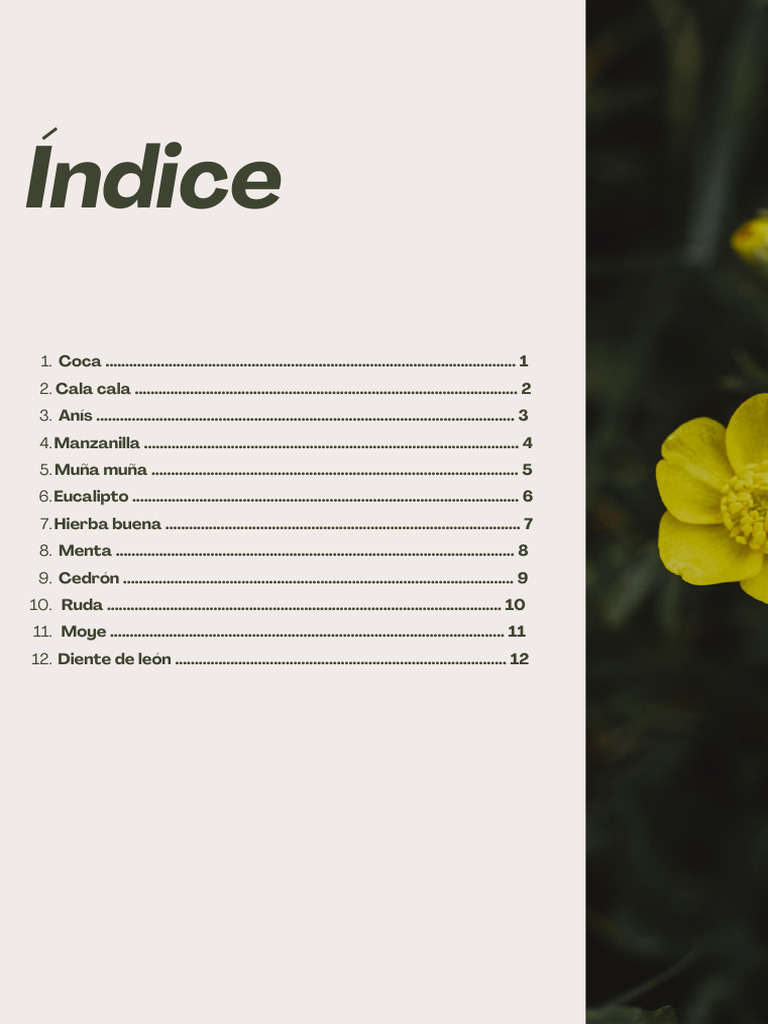 Documento A4 Índice Proyecto Naturaleza Moderno Beige - 20250829 - 085858 - 0000 | PDF