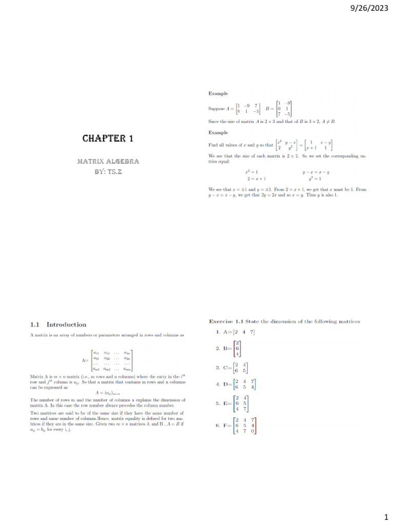 Linear Alg Chapter 1 | PDF
