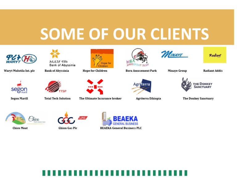 Some of Our Clients For Company Profile | PDF