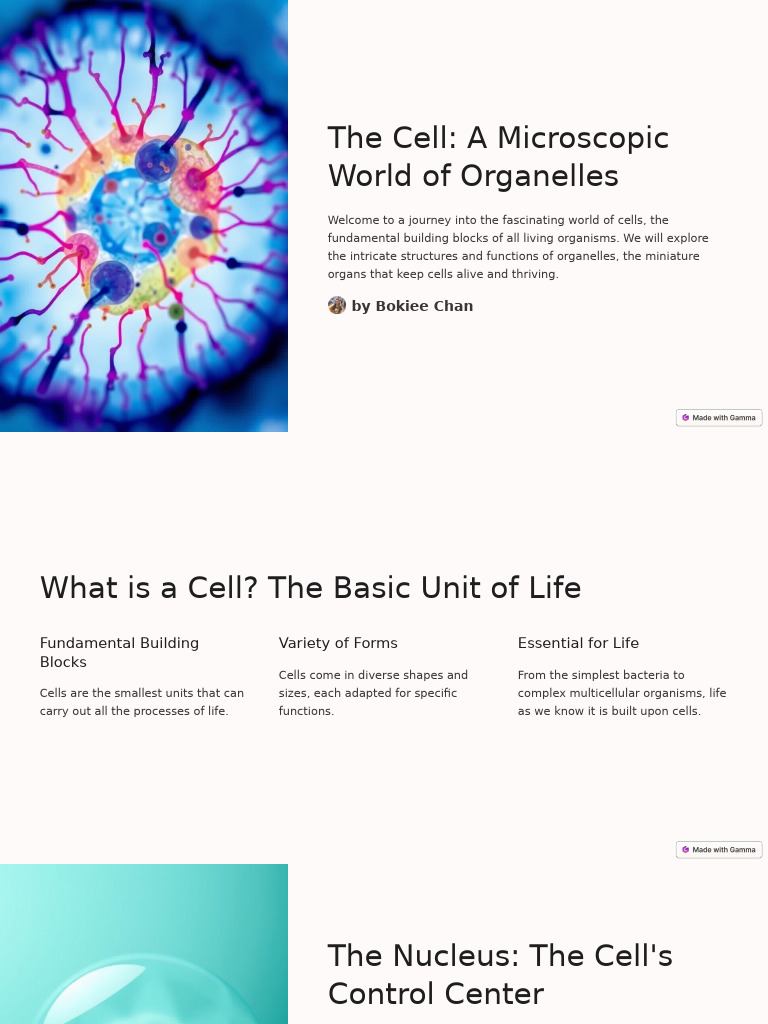 The Cell A Microscopic World of Organelles | PDF | Cell (Biology ...
