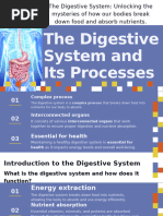 Digestive System Grade 4 | PDF | Digestion | Stomach