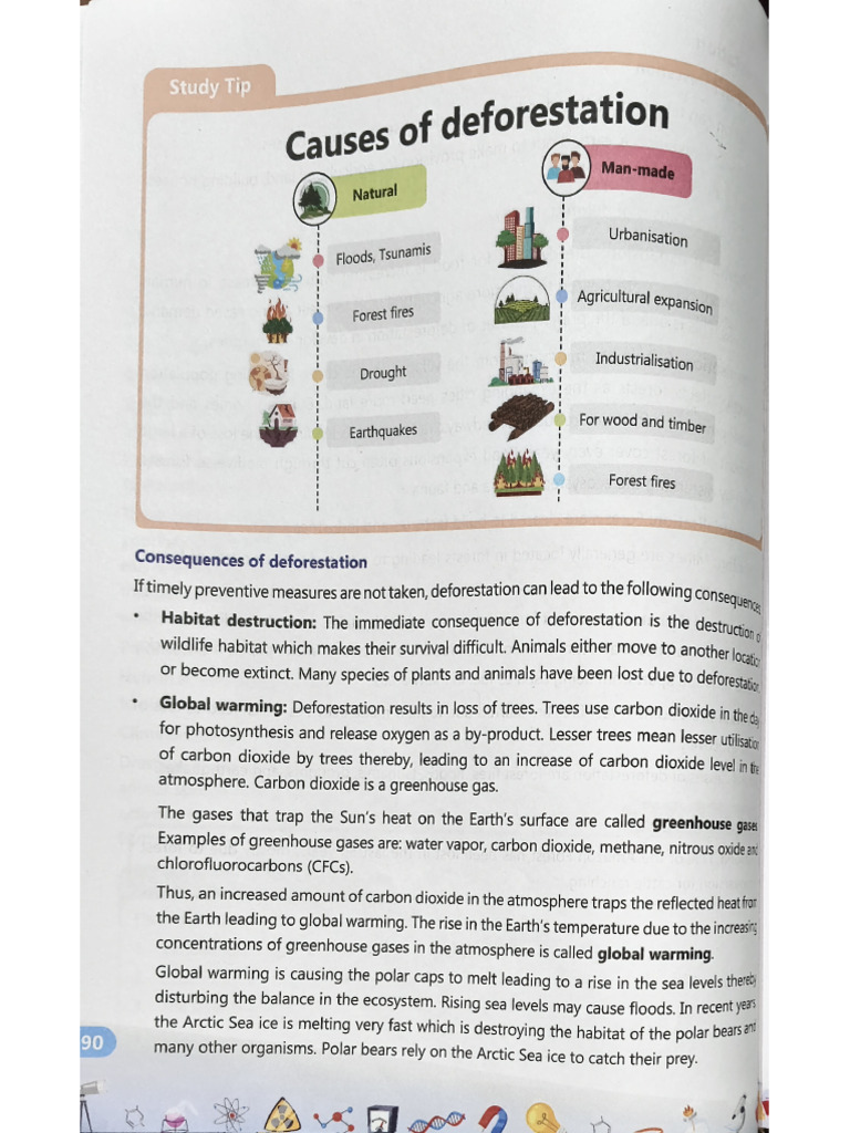 PG CB Viii Sci Deforestation | PDF