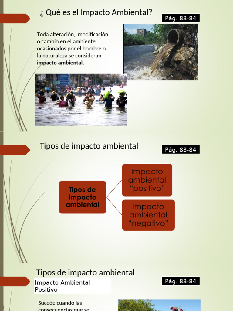 Tipos y Efectos del Impacto Ambiental | PDF | Entorno natural ...