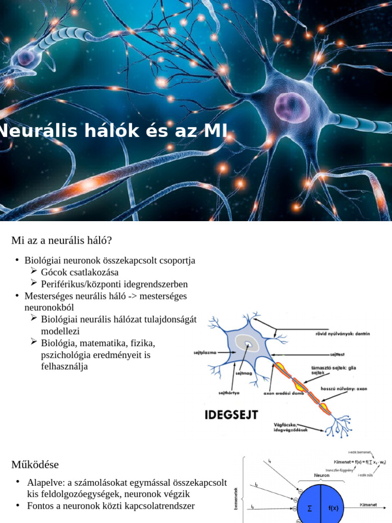 Neurális Hálózat | PDF