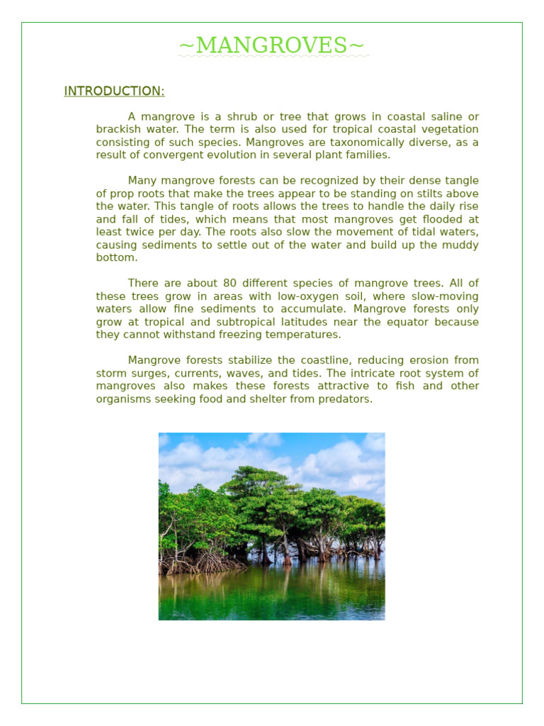Mangroves | PDF