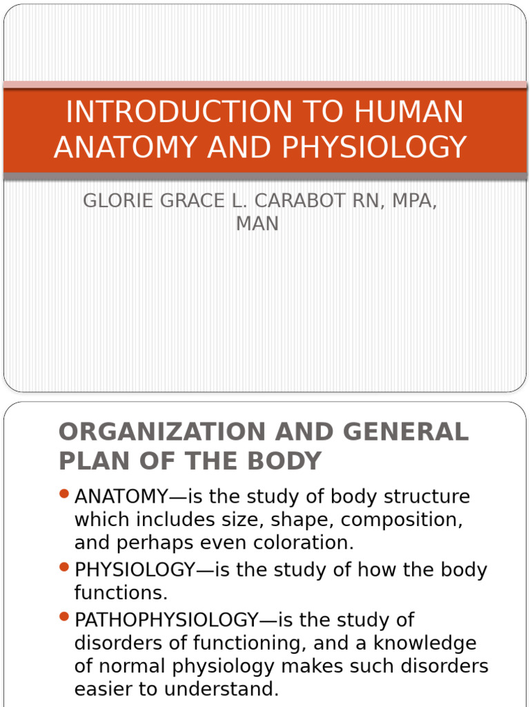 Introduction To Human Anatomy and Physiology | PDF | Human Body | Abdomen
