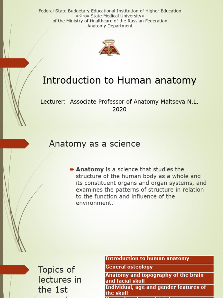 Anatomy Research Methods Overview | PDF | Anatomy | Cadaver