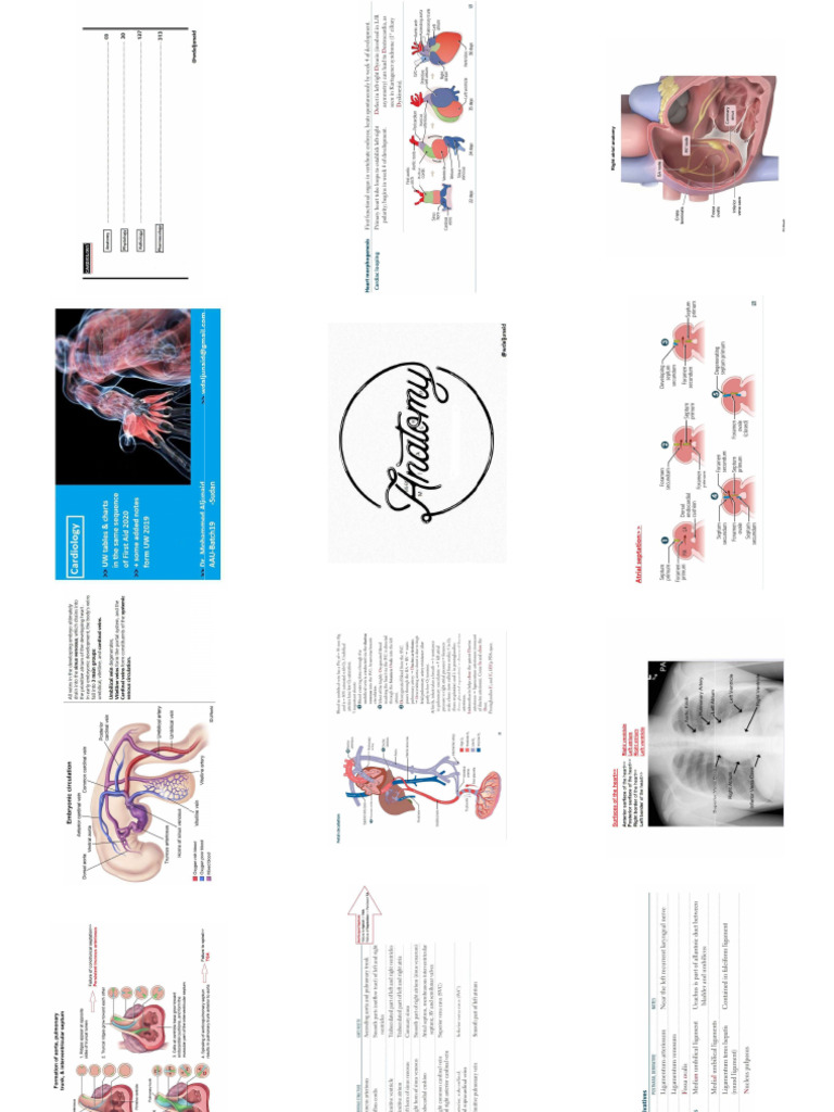 Cvs Booklet | PDF