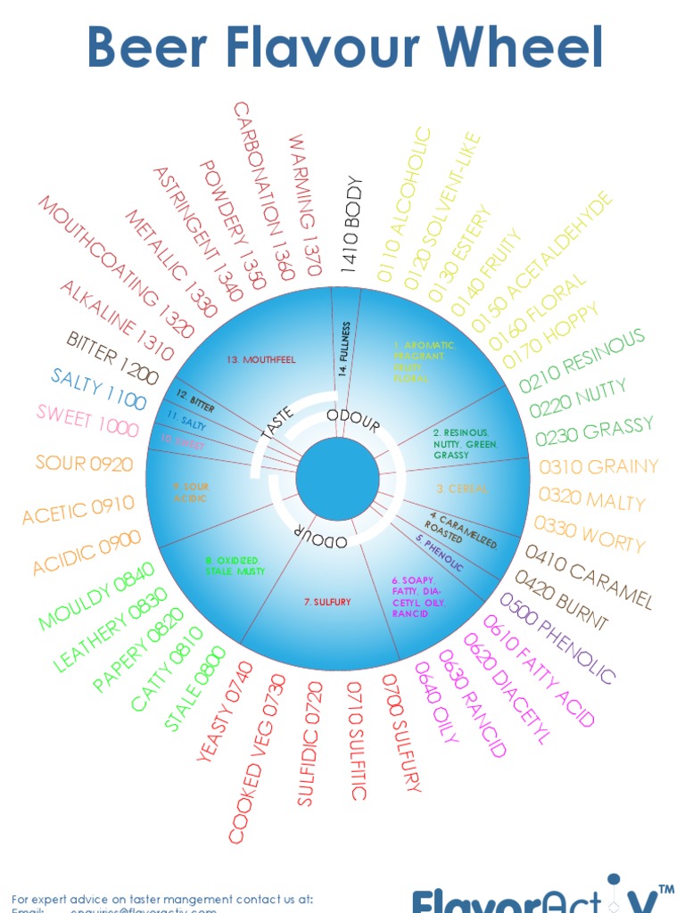 Beer Flavour Wheel Poster | PDF