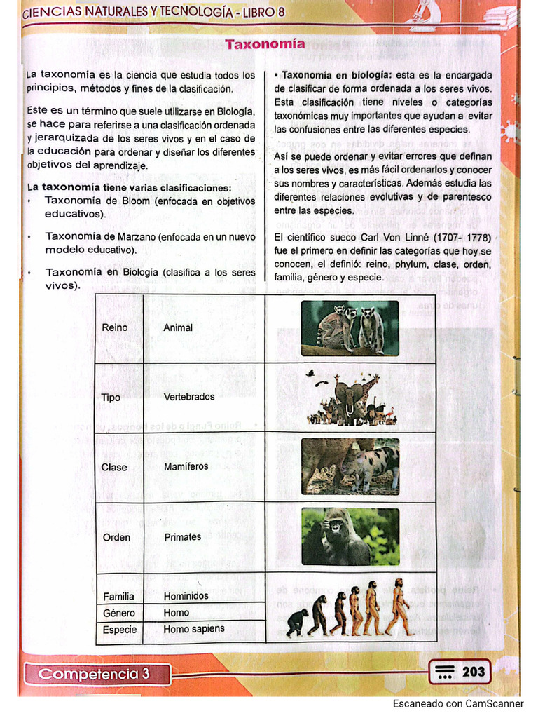 CCNN 2do. 4to. Bimestre. | PDF