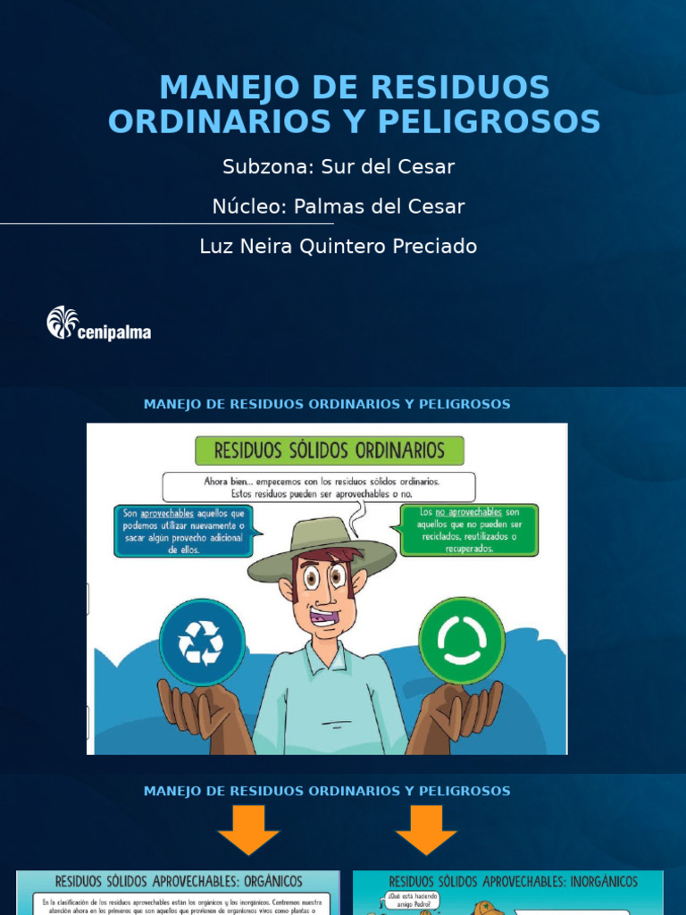 Ejemplo Residuos Pme | PDF