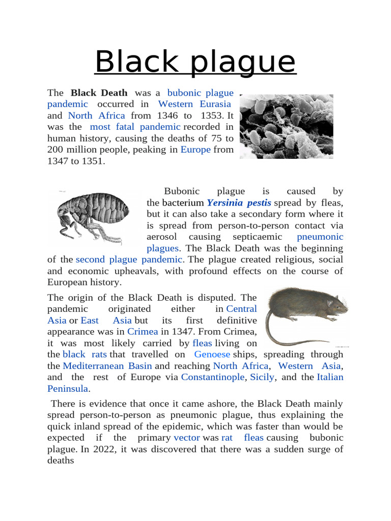 Understanding the Black Plague Pandemic | PDF | Black Death | Animal ...