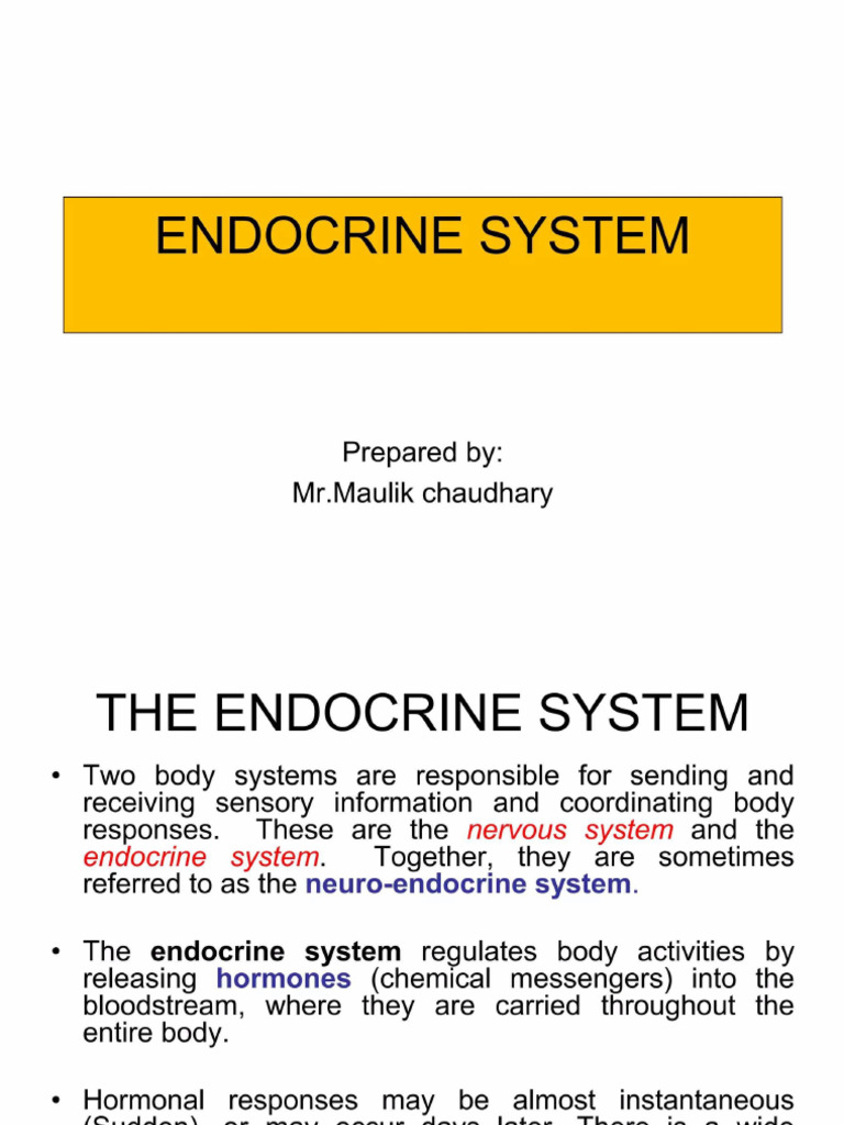 Endocrinology | PDF