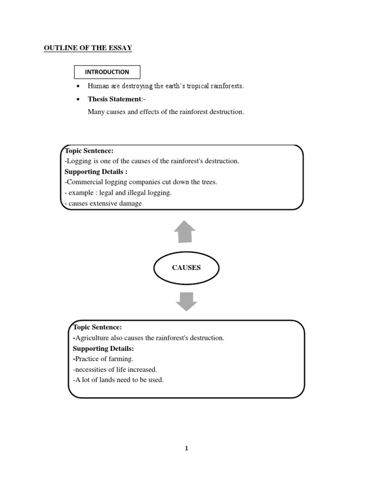 The Causes and Effects of Rain Forest Destruction | PDF | Rainforest ...