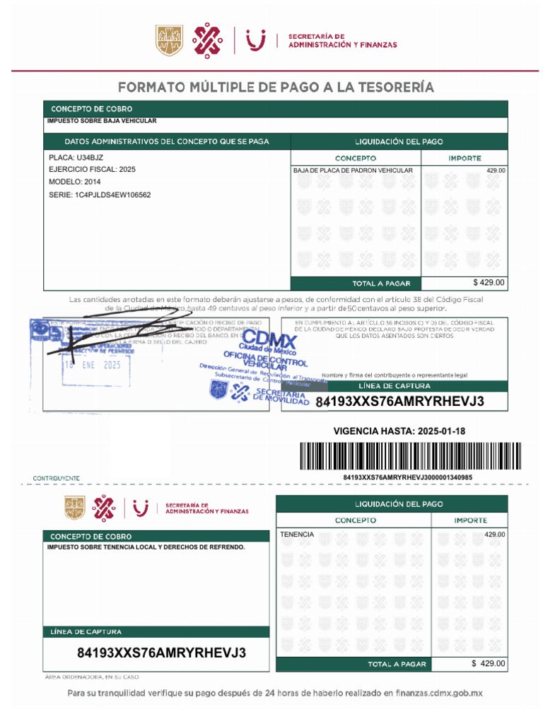 Baja CDMX 2025 | PDF