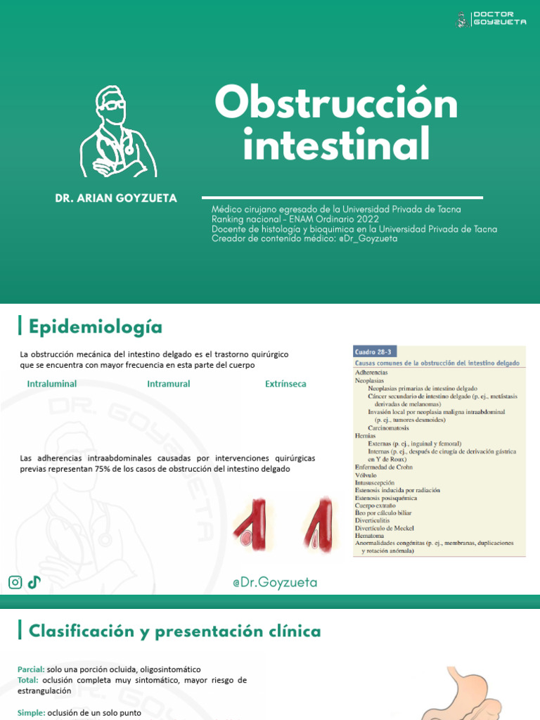 Guía sobre Obstrucción Intestinal: Causas y Tratamiento | PDF ...