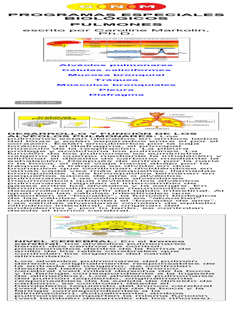 NMG PULMONES I - Lungs - SP | PDF | Pulmón | Asma