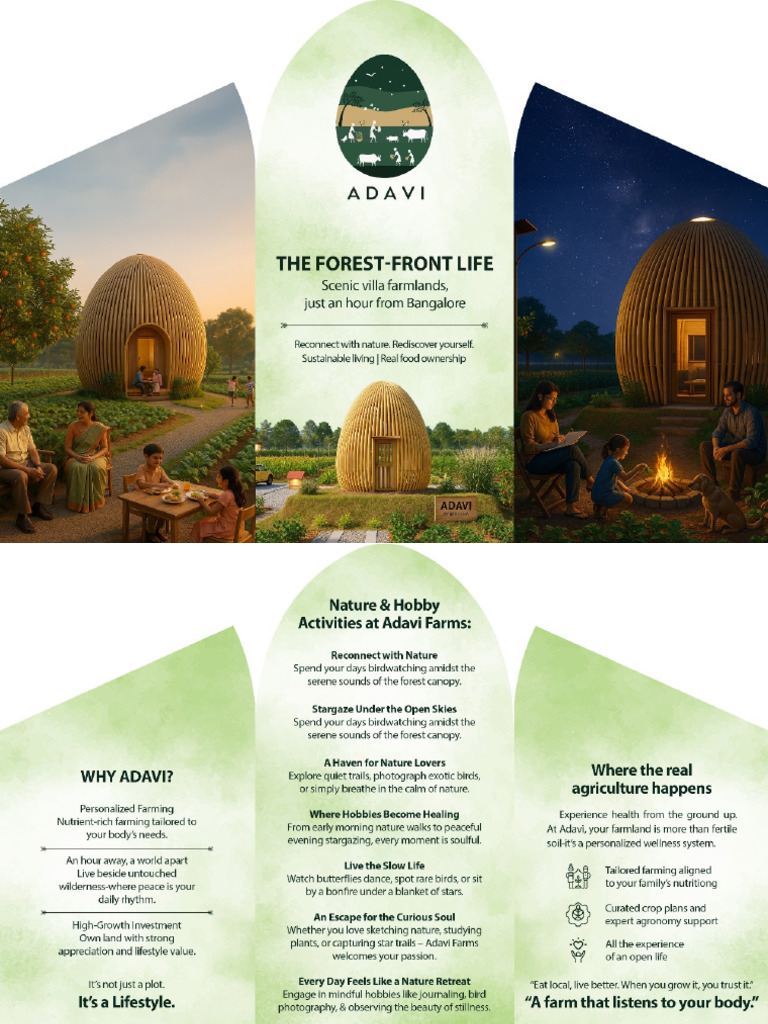 Adavi Brochure 1 | PDF