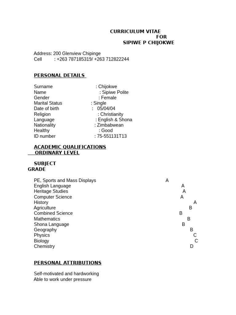Sipiwe Chijokwe CV and Qualifications | PDF