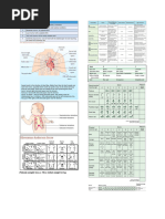 Comprehensive Pediatric Physical Examination | PDF | Medical ...