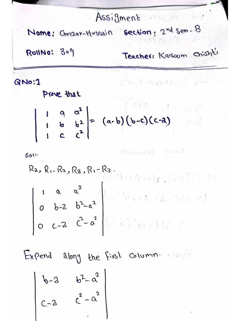 Linear Algebra Assignment | PDF
